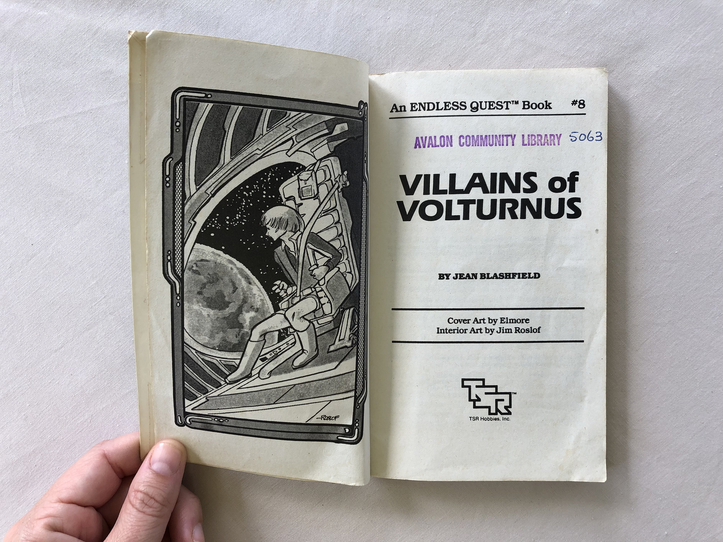 An Endless Quest Book 8: Villains of Volturnus Jean Blashfield 1983 ...