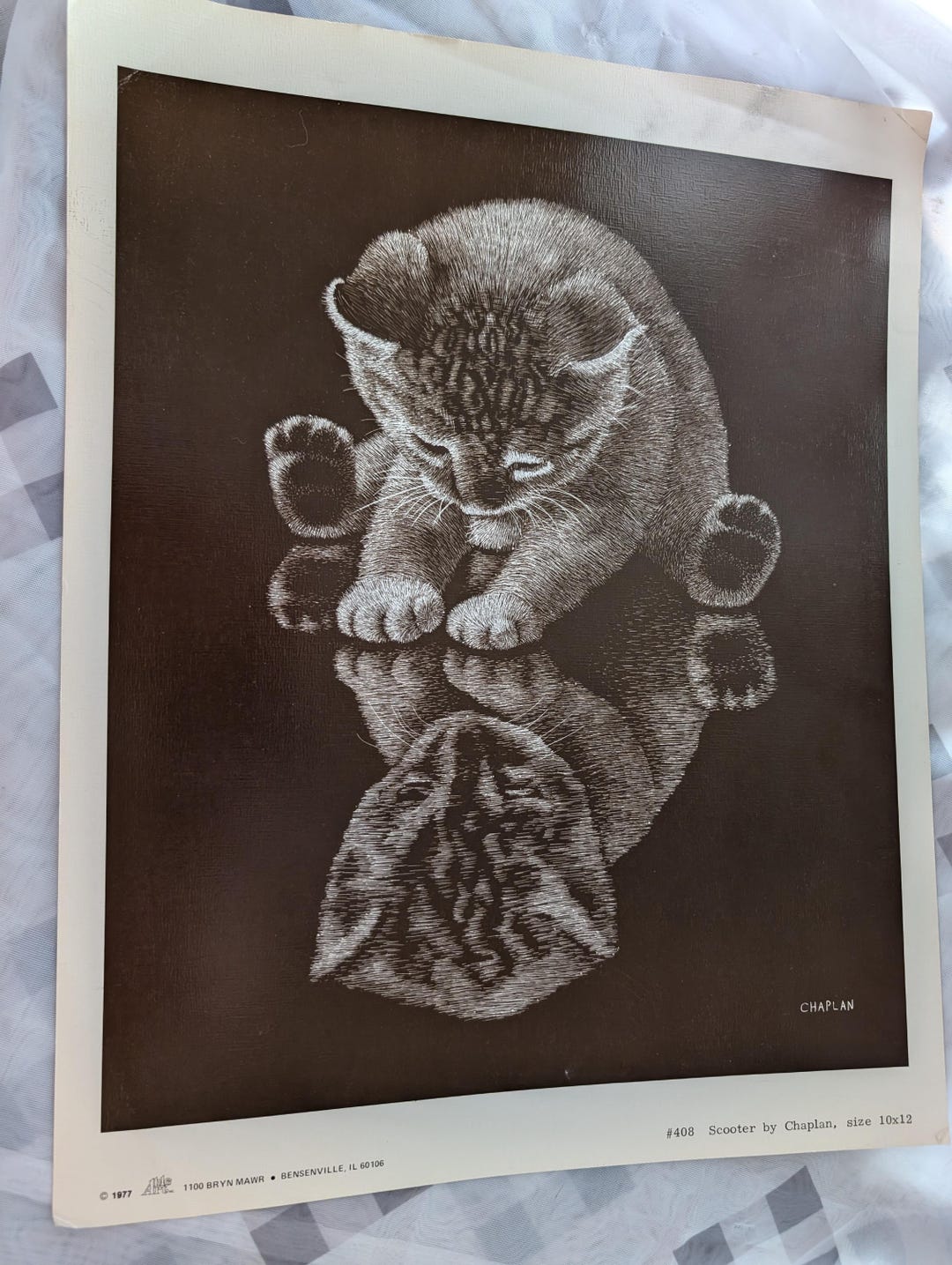 Kitten Reflection Lithographic Print Vintage Douglass Cat by Chaplan ...