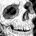 Coloring Pages - 10 Sheets - Skulls Collection, Halloween - Etsy