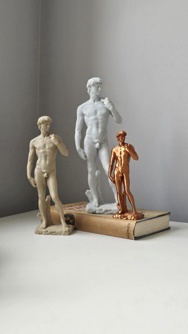Statue of David 3D Print - Etsy Australia