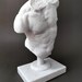 Gaddi Torso 3D Print - Etsy
