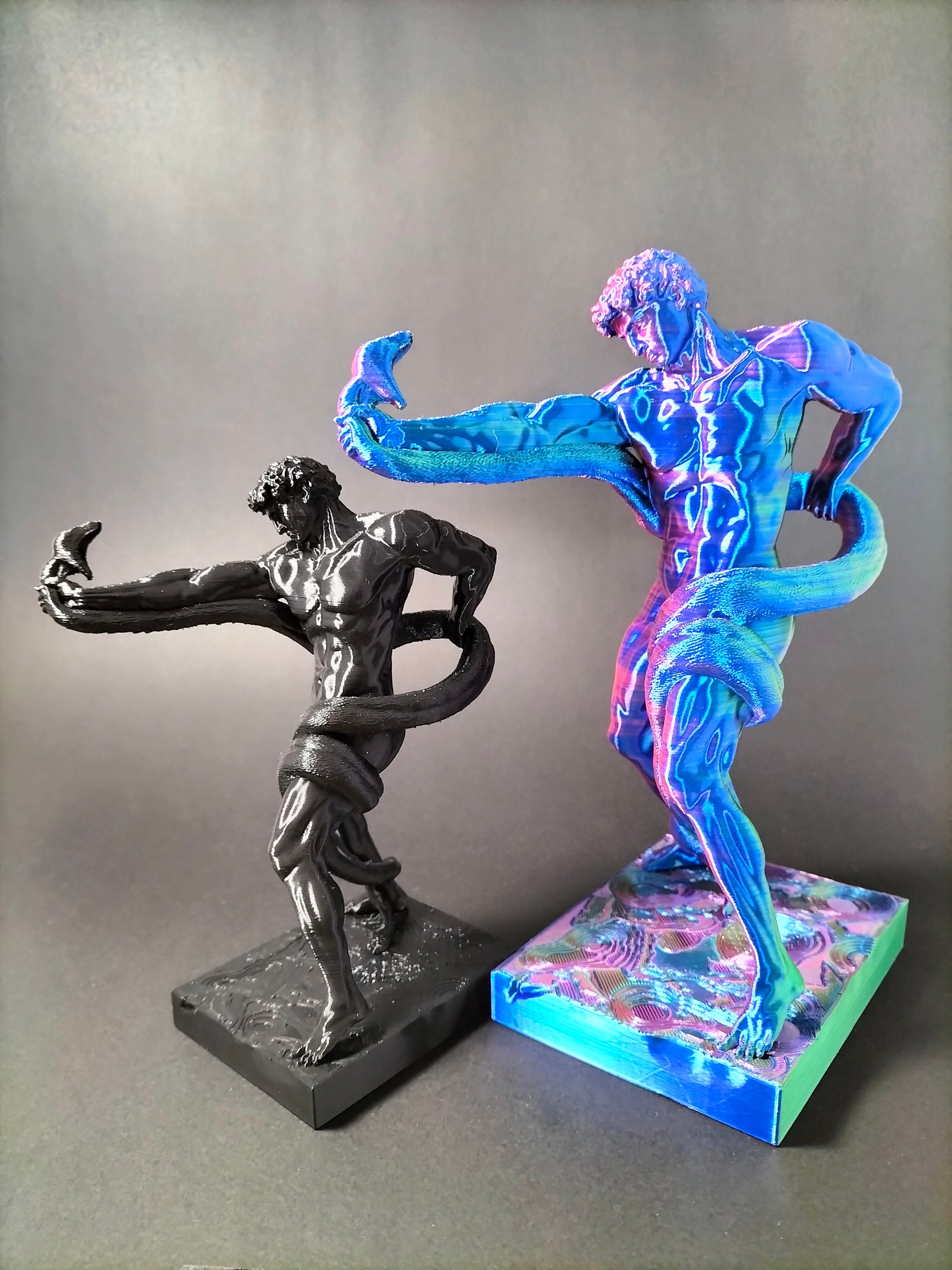 Athlete Wrestling a Python 3D Print - Etsy Australia