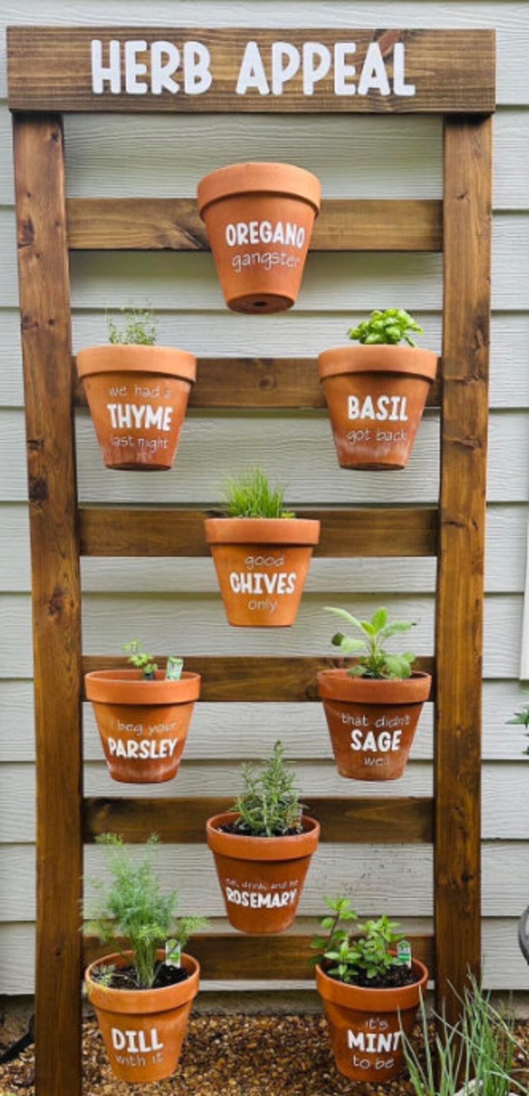 HERB APPEAL Funny Herb Garden Planter Decal decals ONLY - Etsy