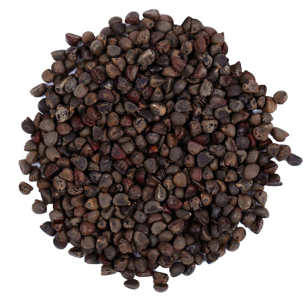 Lal Bala Seed, Beejband, Beej Band Seed, Country Mallow, Sida ...