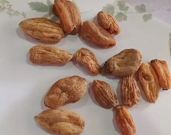 Salam Mishri, Salam Mishri Powder, Salab Misri Churna Whole and Powder ...