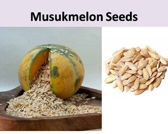 Dried Muskmelon Seeds, Magaz Ke Beej, Kharbooj Beej, Muskmelon Seeds ...