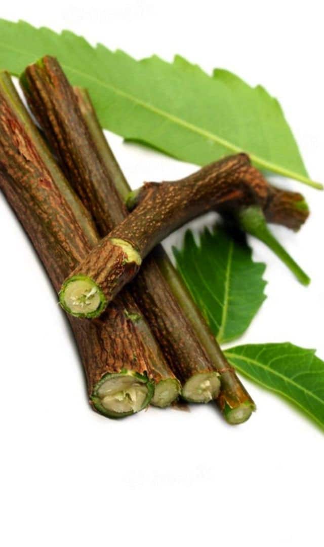 Daatun Neem, Raw Herbs, Jadi Booti Neem Datoon, Neem Datun Size 6 Inch ...