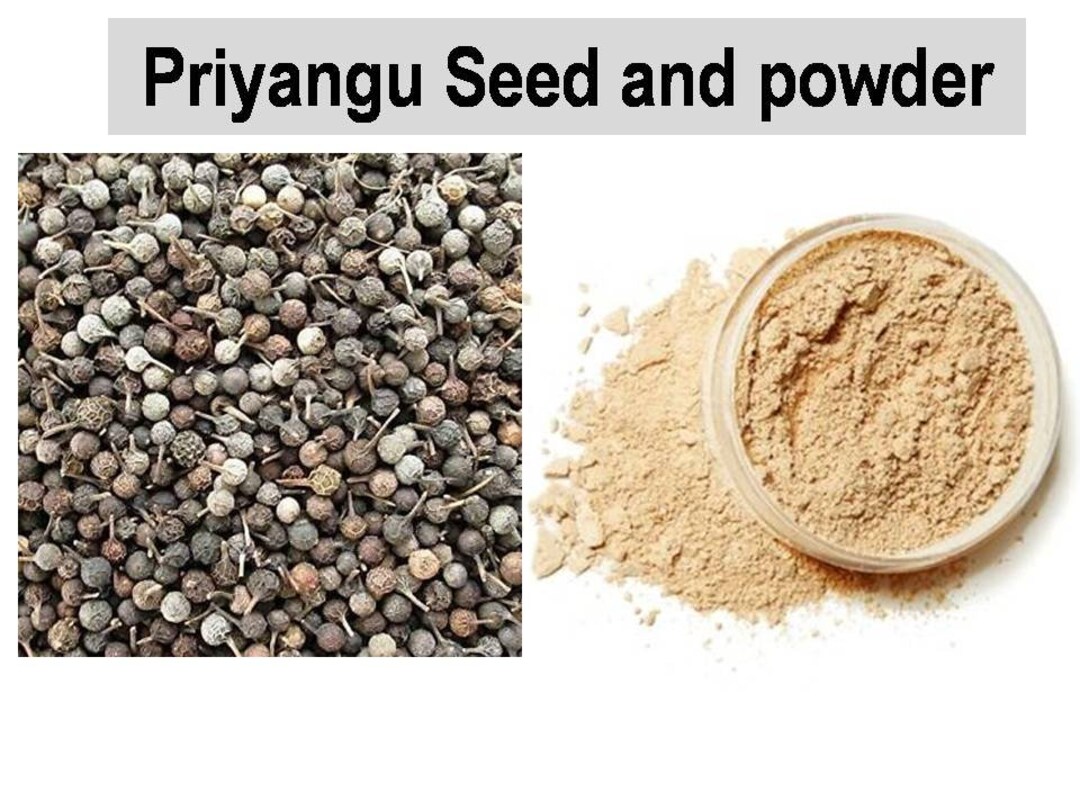 Priyangu Beej, Dried Priyangu Seeds Powder, Phalini, Priyangu Seeds ...