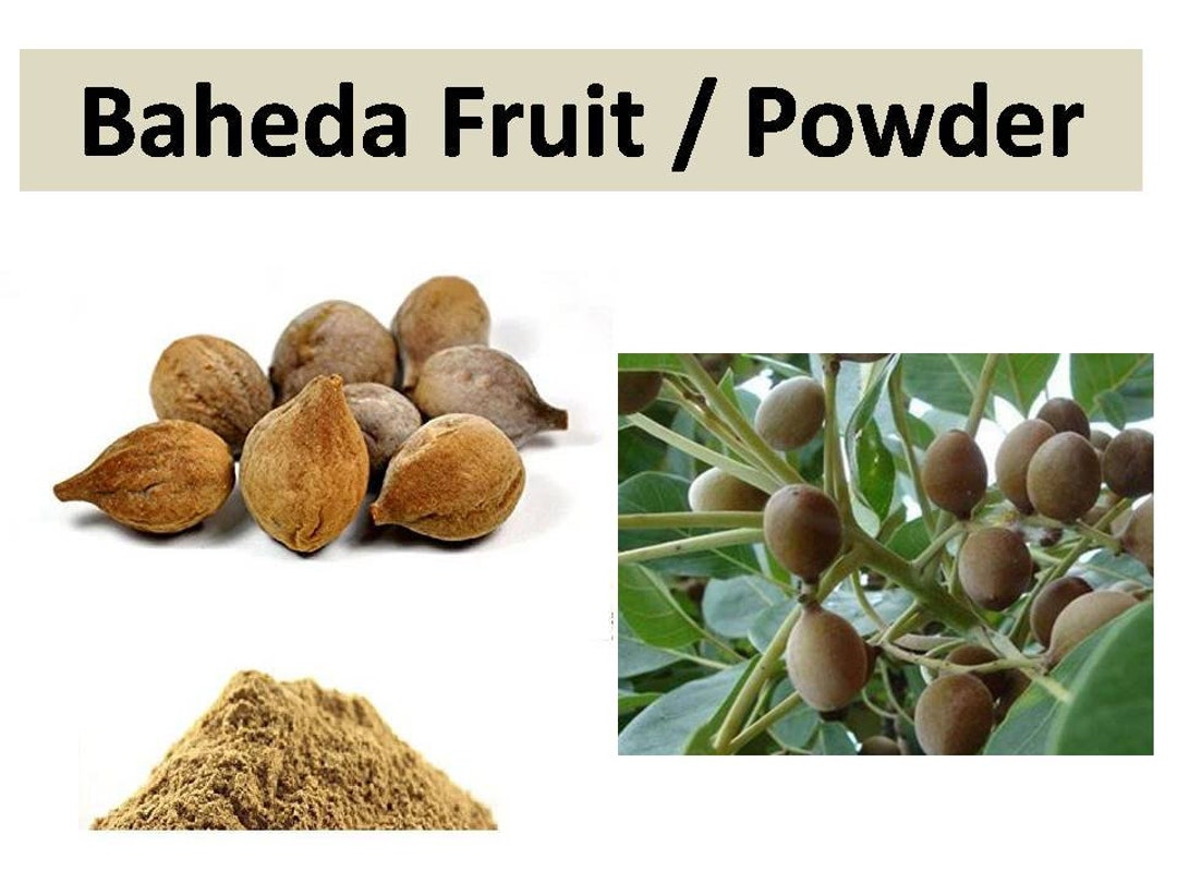 Dried Baheda Fruit and Powder, Bahera Whole and Powder, Bibhitaki Whole ...