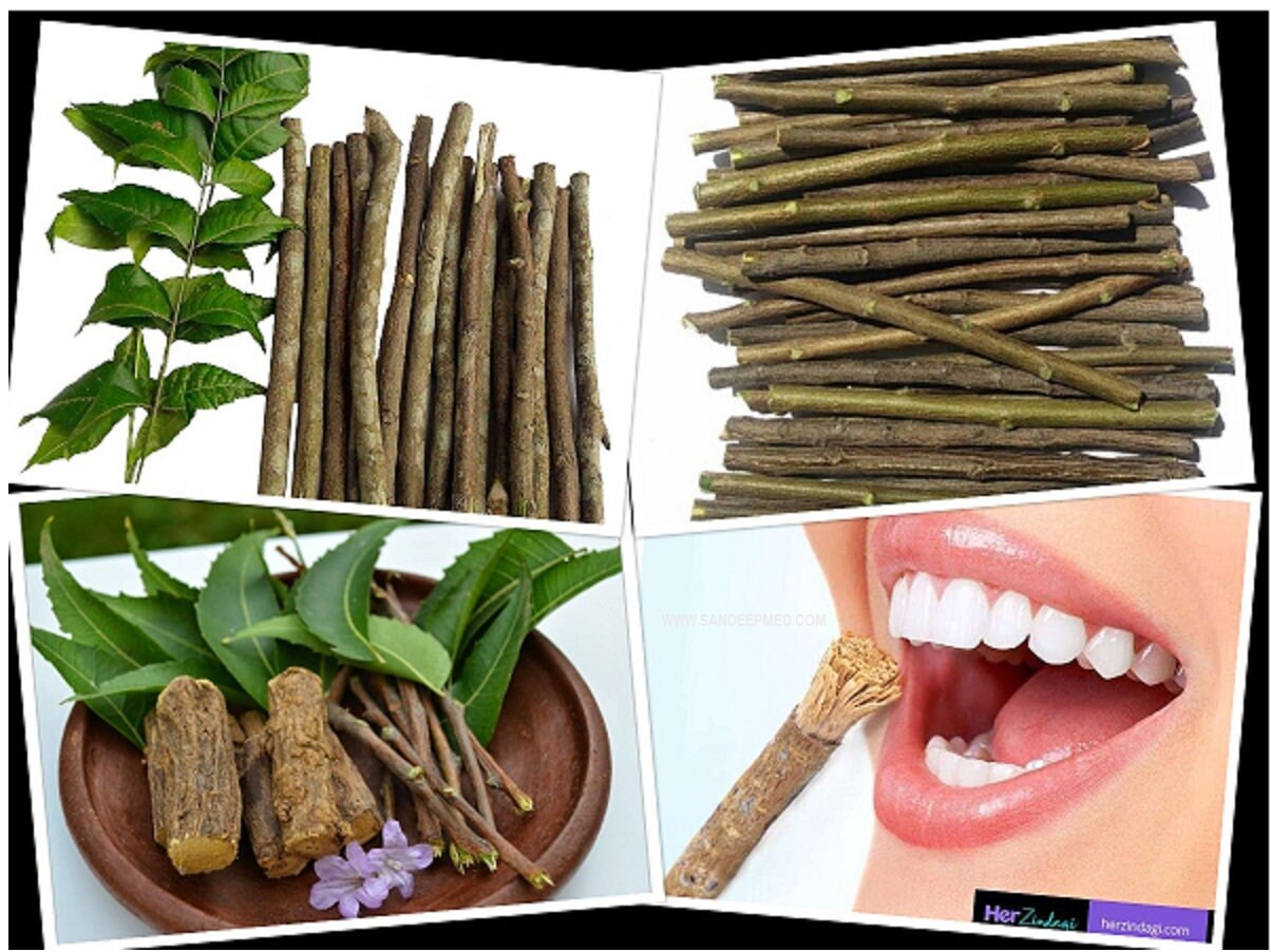 Daatun Neem, Raw Herbs, Jadi Booti Neem Datoon, Neem Datun Size 6 Inch ...