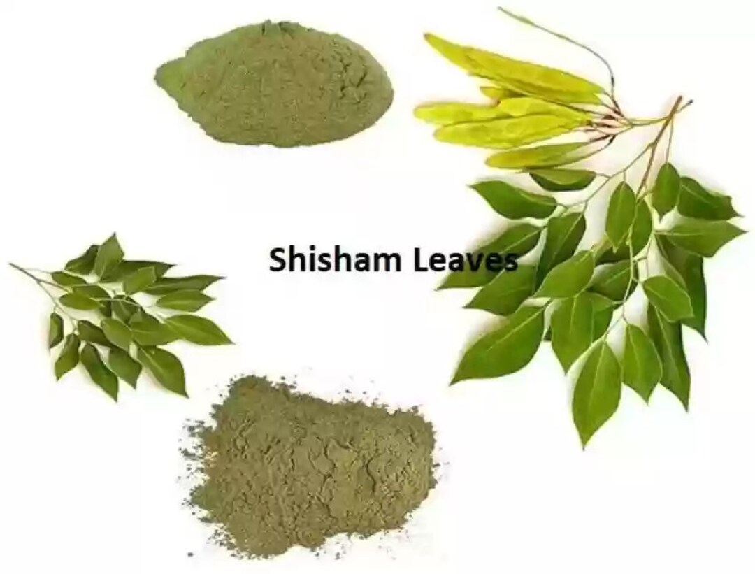 Sun Dried Shisham Leaves Powder, Shudh Shisham Leaf Powder, Sheesham ...