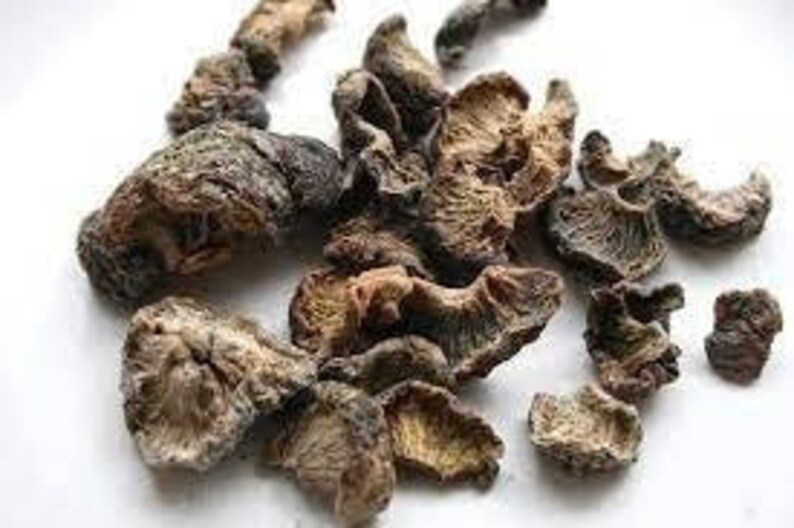 Dried Amla Whole , Dried Amla Seed Less , Dried Amla Whole Fruit ...