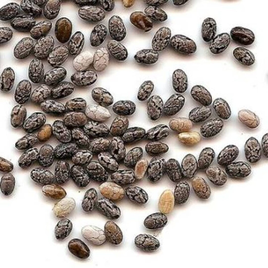 Organic Chia Seed, Healthy Eating, Weight Management, Chia Seed, Omega ...