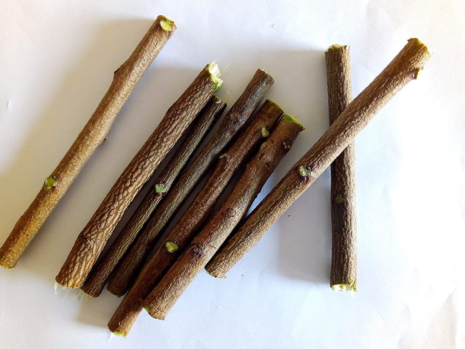 Daatun Neem, Raw Herbs, Jadi Booti Neem Datoon, Neem Datun Size 6 Inch ...