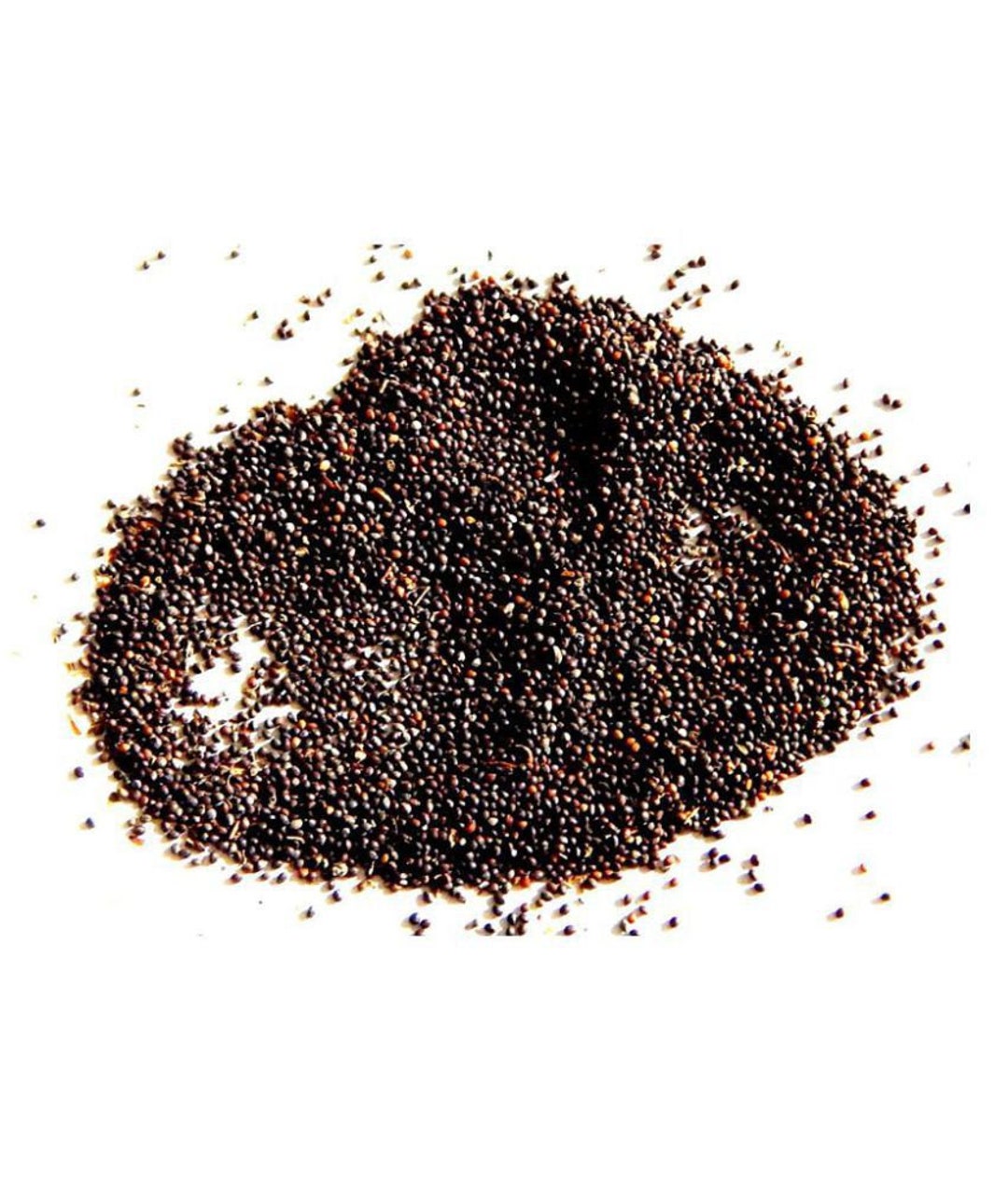 Samandar Shokh, Argyreia Speciosa, Ghav Bel, Kamarkas Seeds, Samander ...