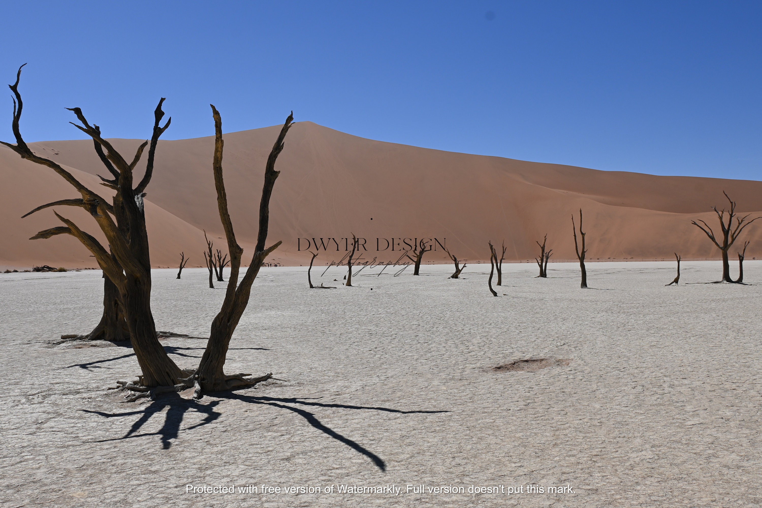 Sossusveli Namibia - Etsy