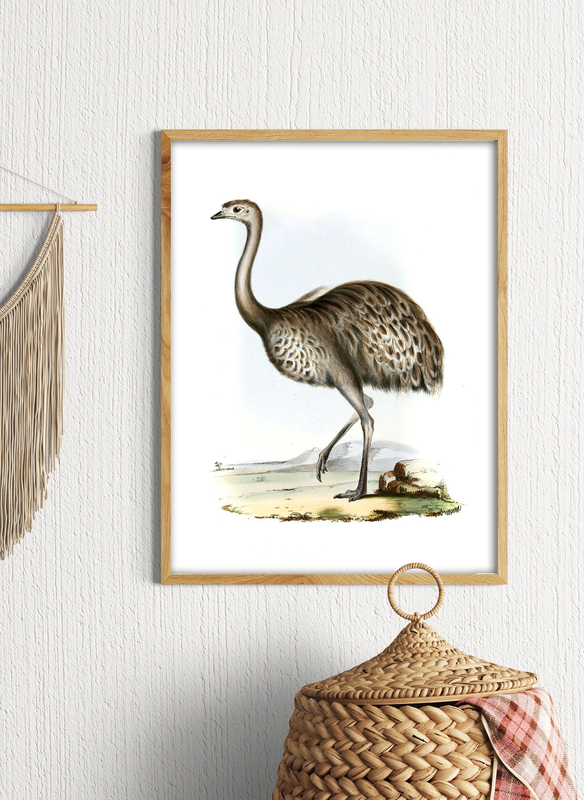 Rhea Vintage Digital Art Bird Printable Wall Art nature - Etsy