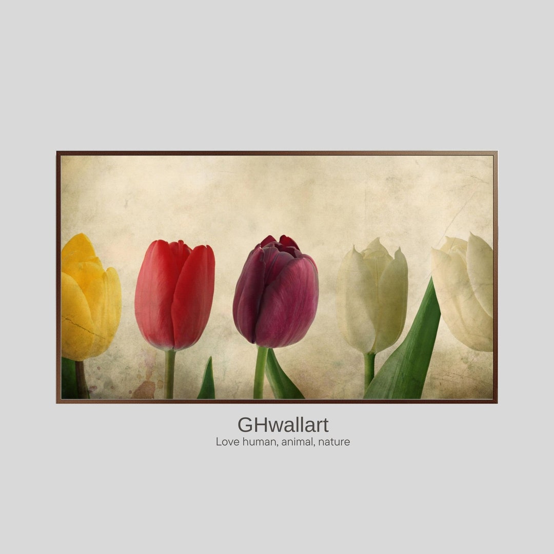 Samsung Frame Tv Art Frame Tv Art Spring Art for Frame Tv Spring Tulips ...