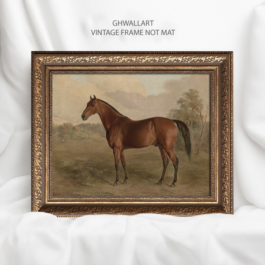Vintage Horse Portrait: Framed Equine Art Print, Antique Gold Frame - Etsy