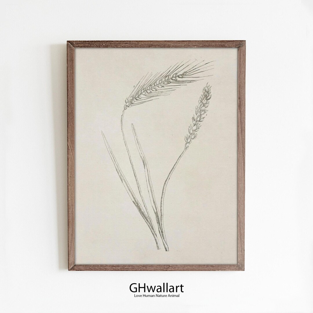 Botanical Art Print Wheat Grass Wall Art Wheat Line Art - Etsy