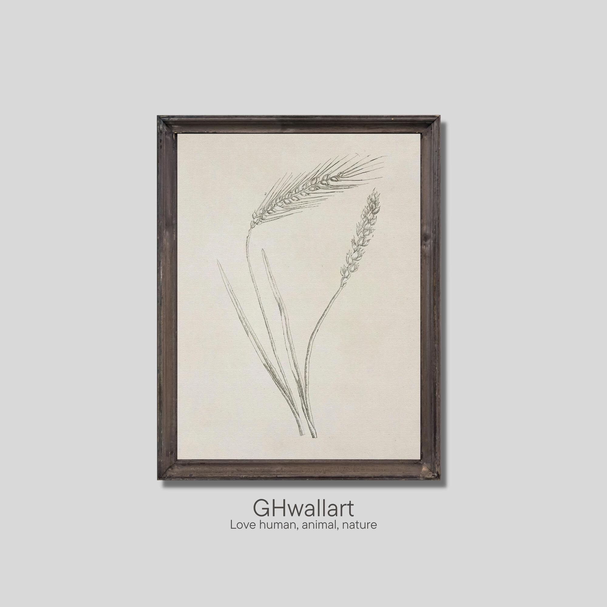 Botanical Art Print Wheat Grass Wall Art Wheat Line Art - Etsy