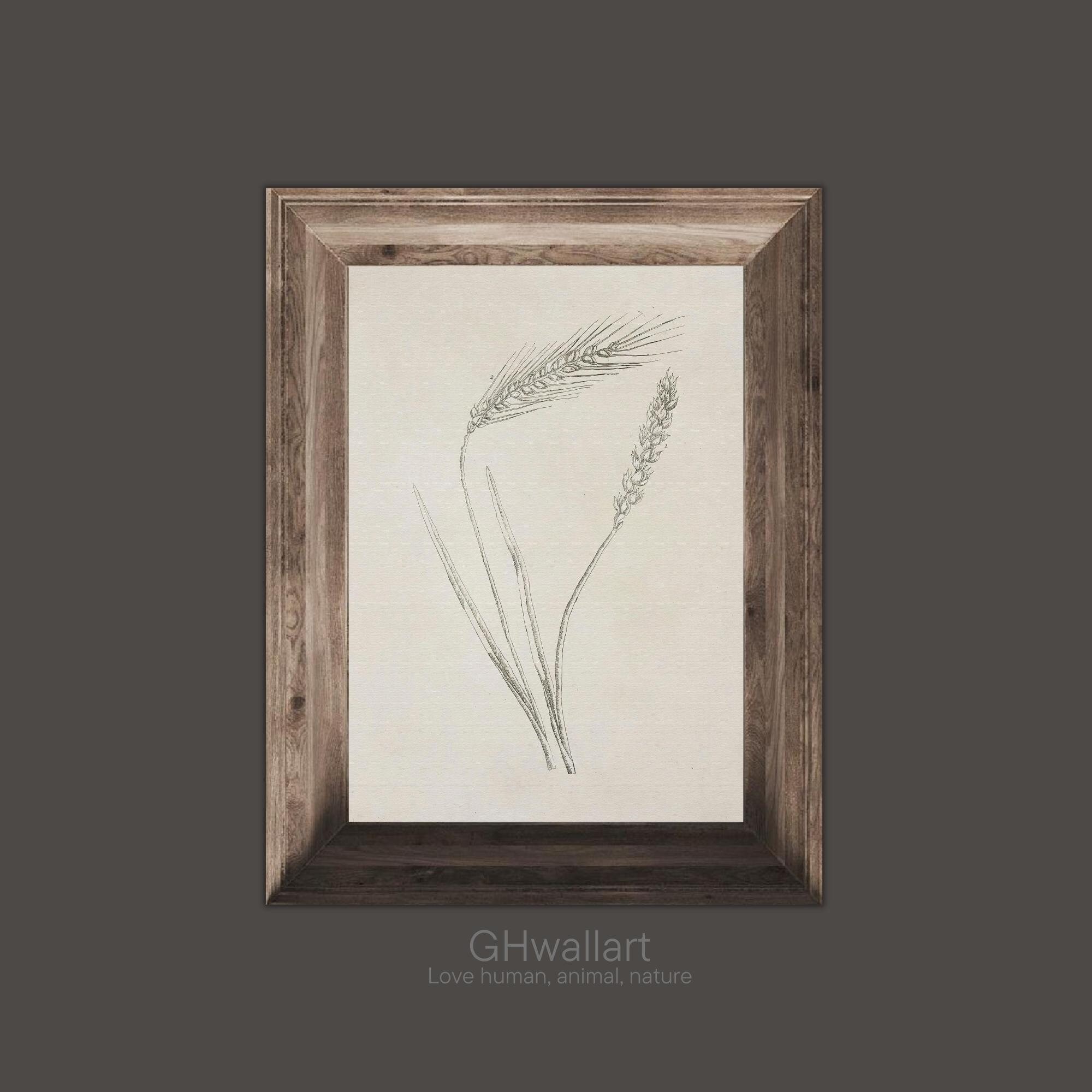 Botanical Art Print Wheat Grass Wall Art Wheat Line Art - Etsy