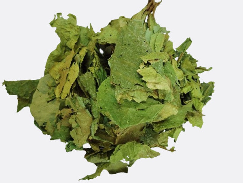 ARK PURE HERB Terminalia Catappa-sea Almond-indian Almond Leaf Powder ...