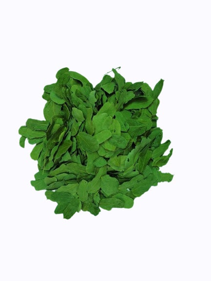 ARK PURE HERB Siris Leaves-albizia Lebbeck Leaf Powder Indian Handmade ...