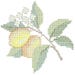 Lemon Branch. Machine Embroidery Designs Jn Cross Stitch Technique. - Etsy