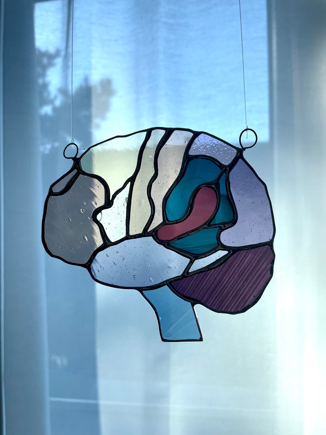 Brain Made of Glass - Etsy