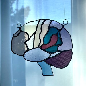 Brain Made of Glass - Etsy