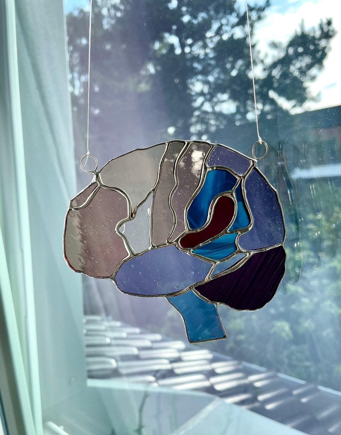 Anatomical Brain Stained Glass – Neuroscience Gift, Brain Anatomy Art ...