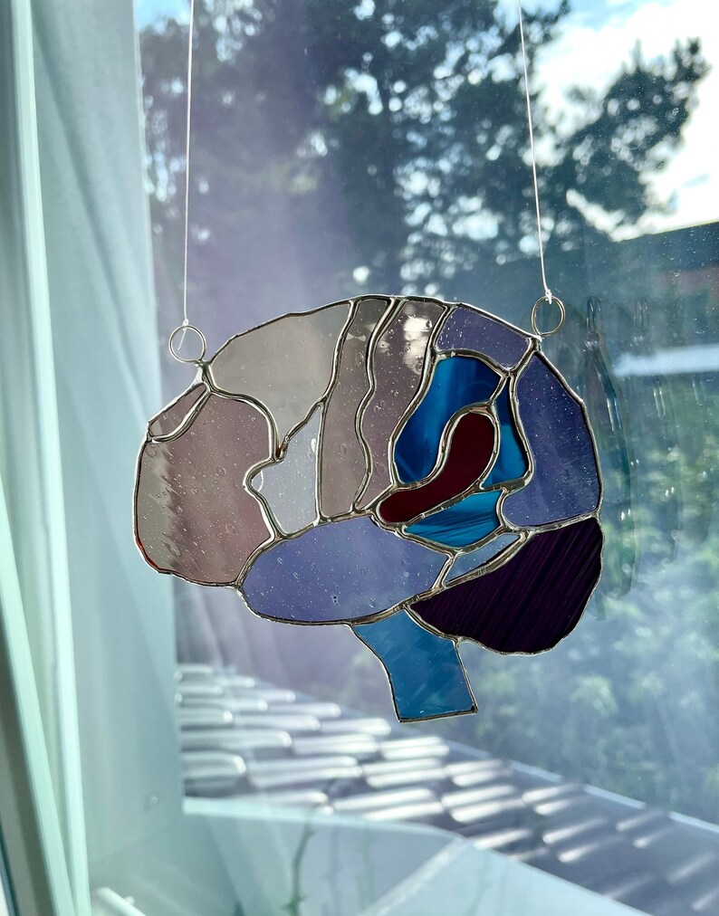 Brain Made of Glass - Etsy