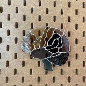 Brain Made of Glass - Etsy