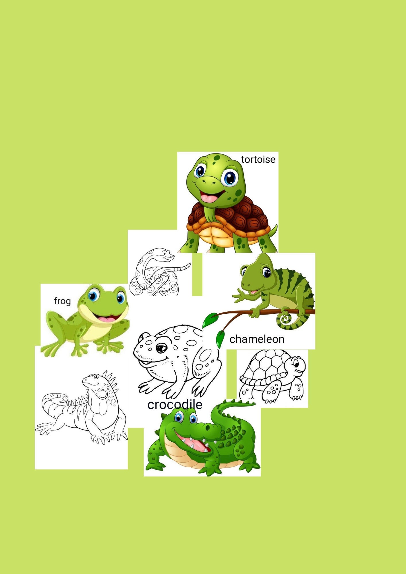 Reptiles Preschool Kidscolouring Pages Digital Download digital ...