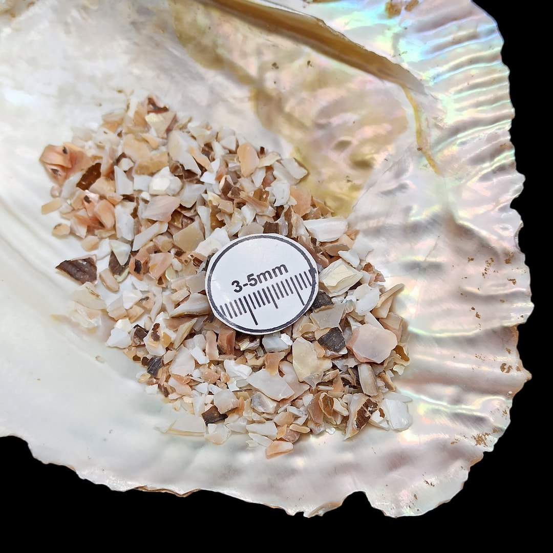 Abalone Shell Crushed Coarse Powder for Jewelry Inlay Art 3-5mm Size ...