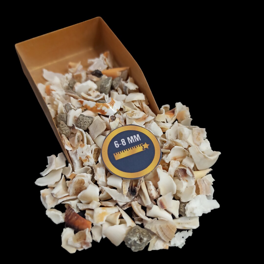 Natural Gemstone Abalone Shell Coarse Crushed 6-8mm for Jewelry Making ...