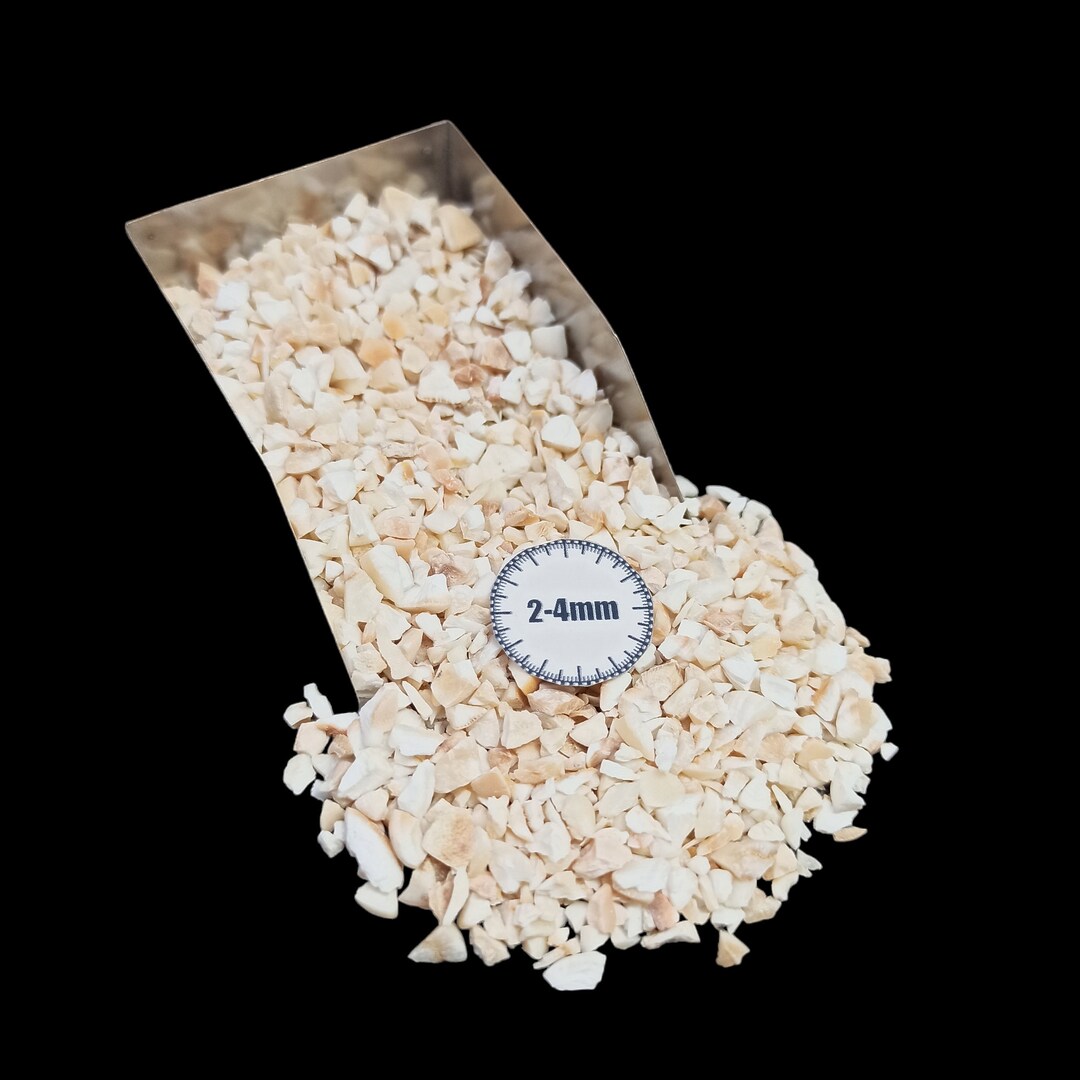 Coarse Crushed Fossil Shells 2-4mm for Jewelry Making Resin Art Fish ...