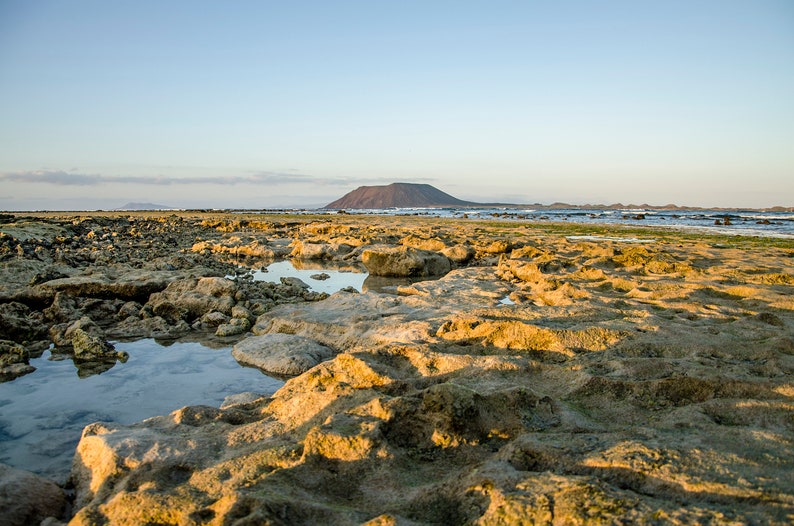 Unique Phone Wallpaper, Background, Digital Download, Prints, Decor ...