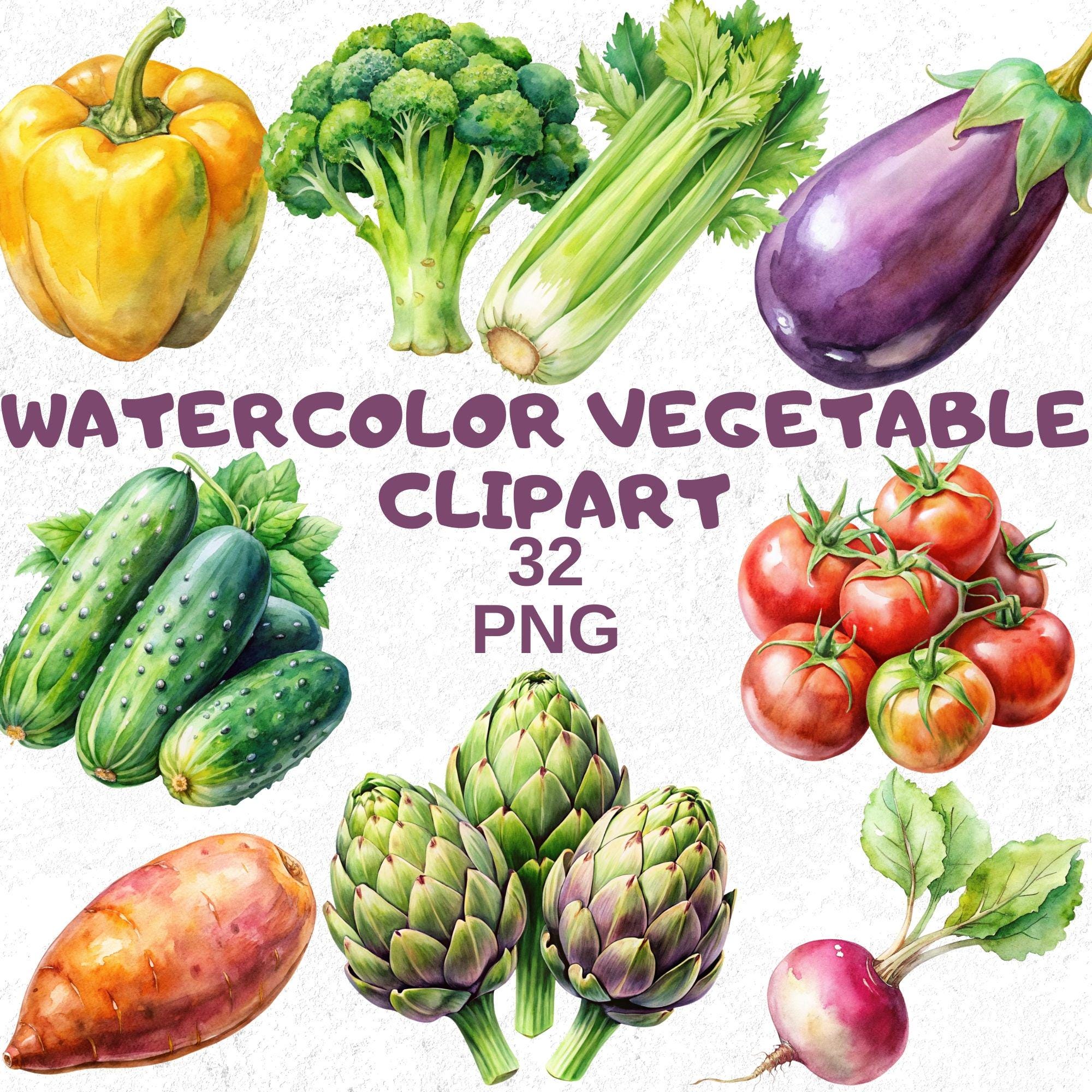 Watercolor Vegetables Clipart Bundle, Farmers Market Clipart, Healthy Food Graphics, Digital ...