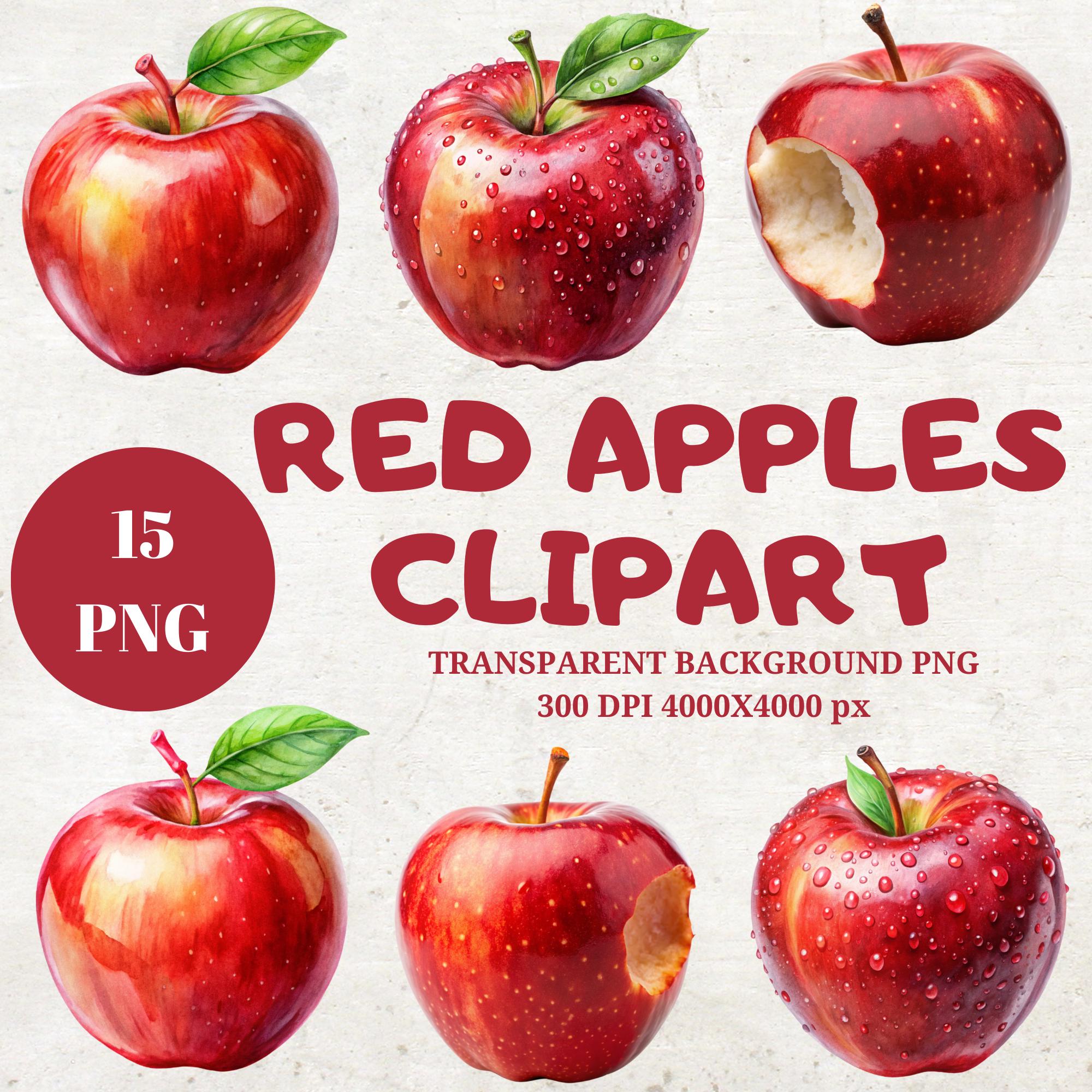 Watercolor Red Apple Clipart: 15 PNG Illustrations (digital Download ...
