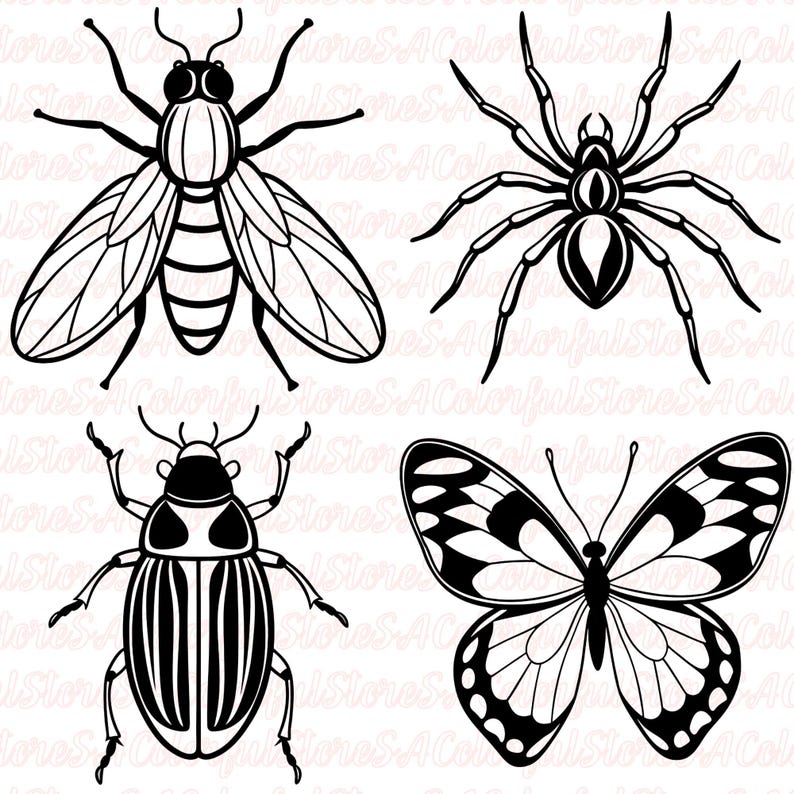 Insect SVG PNG Clipart Bundle: Butterfly, Bee, Ladybug (digital ...