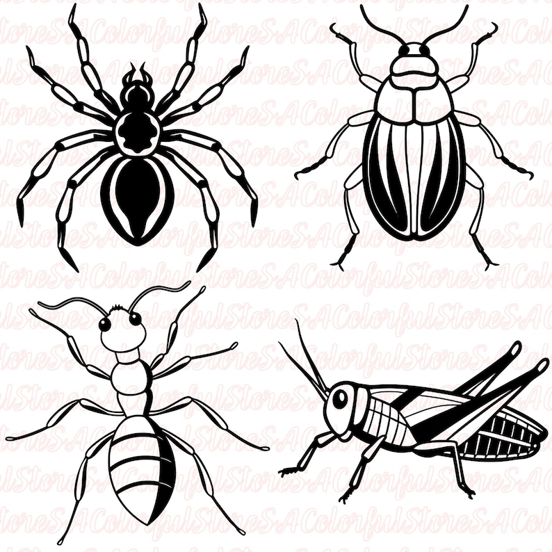 Insect SVG PNG Clipart Bundle: Butterfly, Bee, Ladybug (digital ...