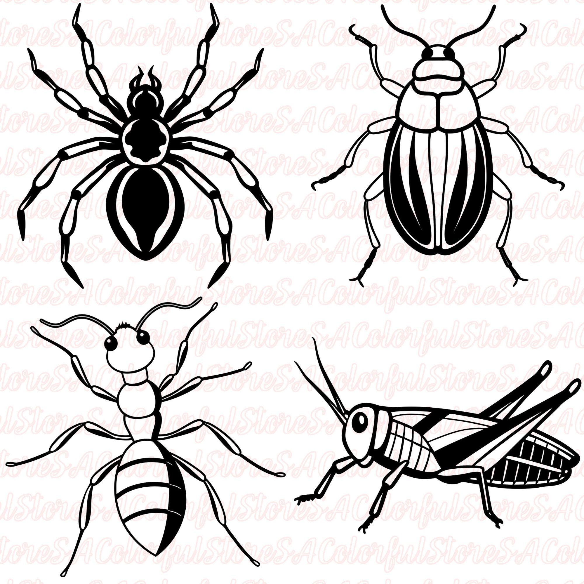 Insect SVG PNG Clipart Bundle: Butterfly, Bee, Ladybug (digital ...