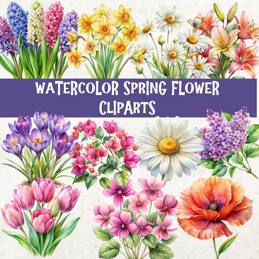 36 Watercolor Spring Flower Clipart Png Wildflower Spring Flowers PNG ...