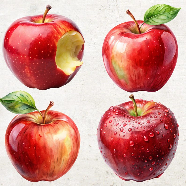 Watercolor Red Apple Clipart: 15 PNG Illustrations (digital Download ...