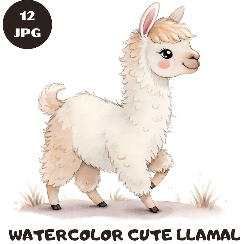 12 JPG Watercolor Cute Llama Clipart Bundle, Baby Lama Jpg Illustration ...