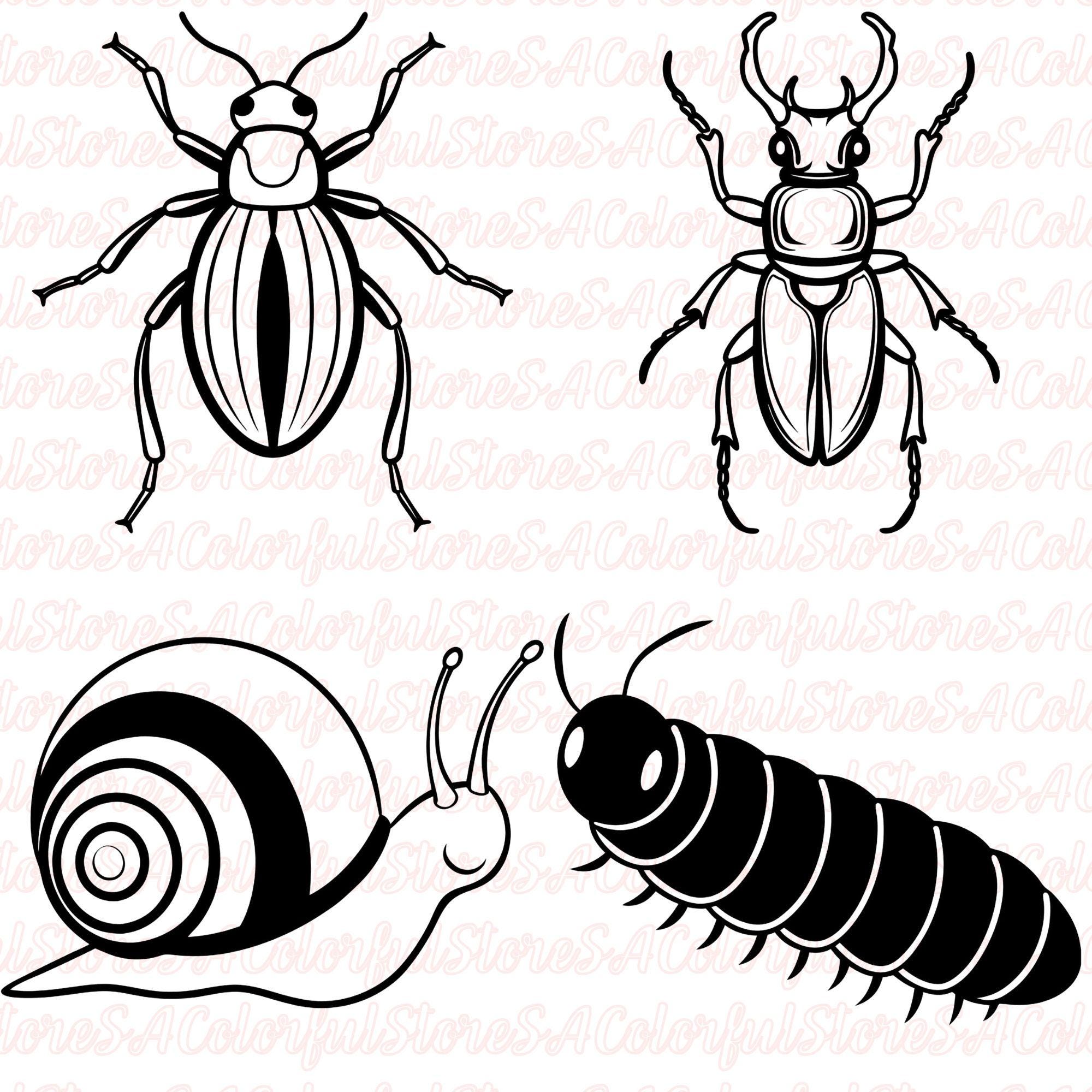 Insect SVG PNG Clipart Bundle: Butterfly, Bee, Ladybug (digital ...