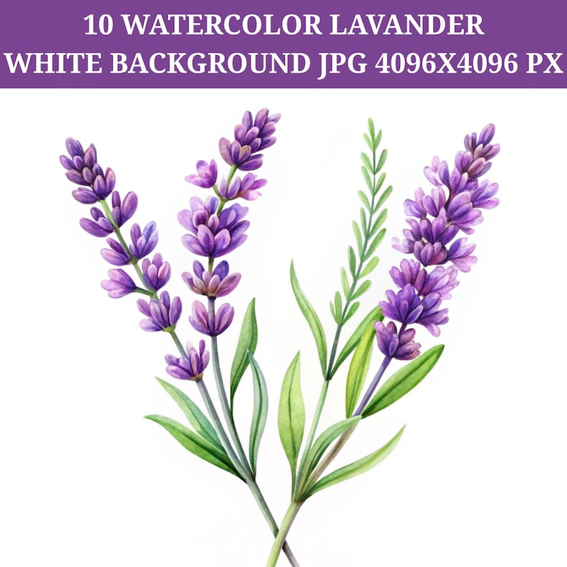 Watercolor Lavender Clipart Bundle: Floral Wreaths, Garden Doors (JPG ...