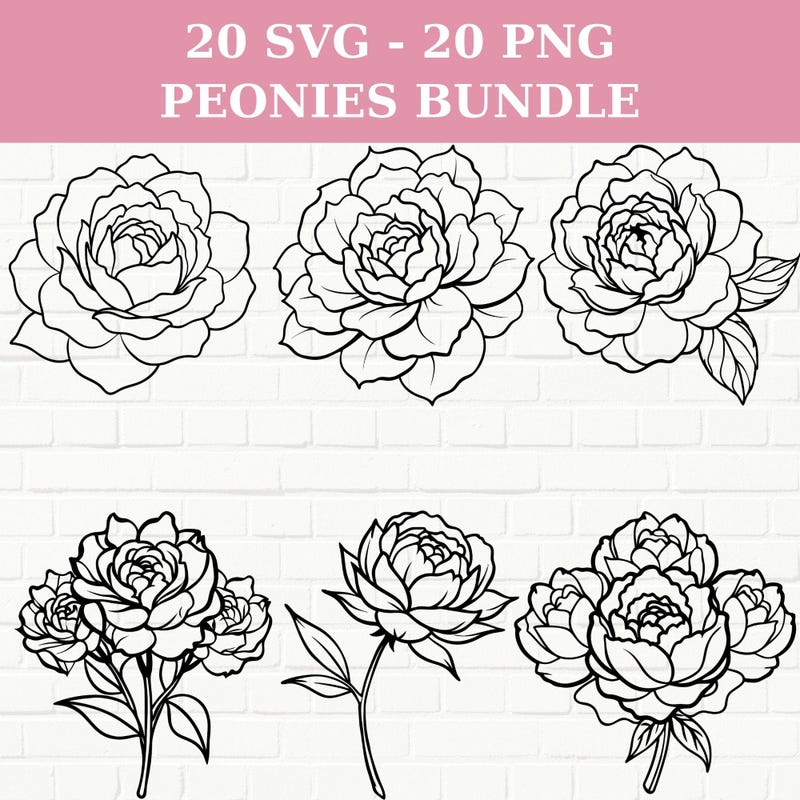 Peony Svg - Etsy